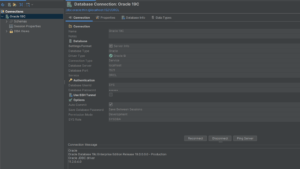 A Comprehensive Guide to Data Types in Oracle