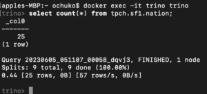 Mastering the Trino Connection: A Step by Step Guide