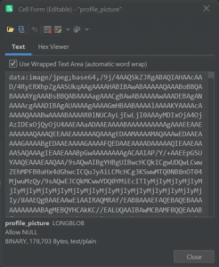 BLOB Data Type: Everything You Can Do With It