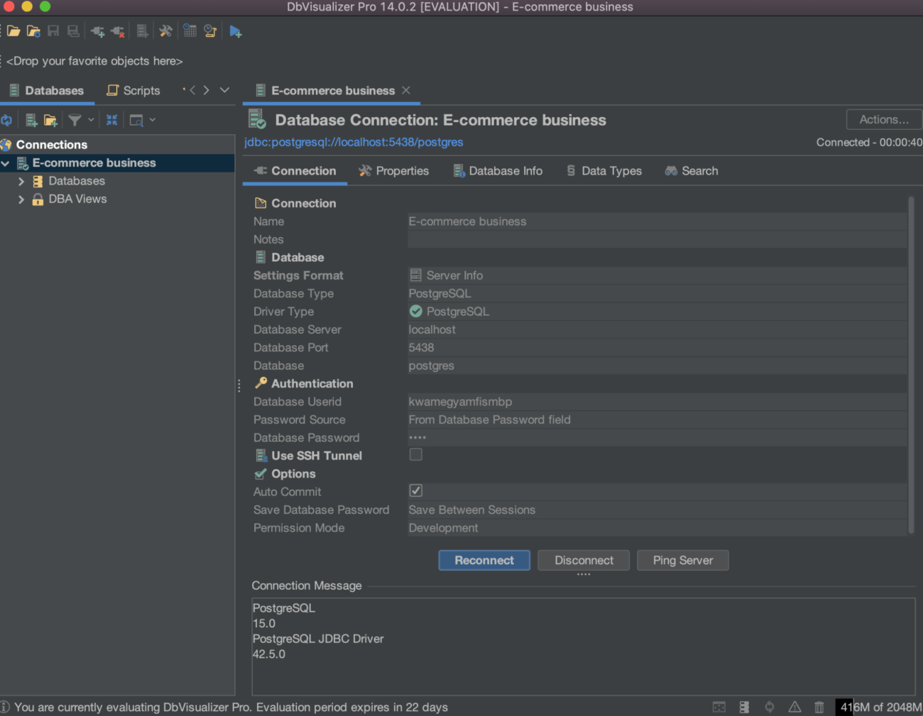 Mastering Advanced SQL Queries with DbVisualizer and PostgreSQL