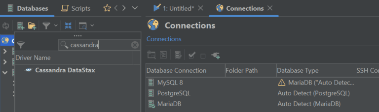What Is the Pinecone Vector Database?